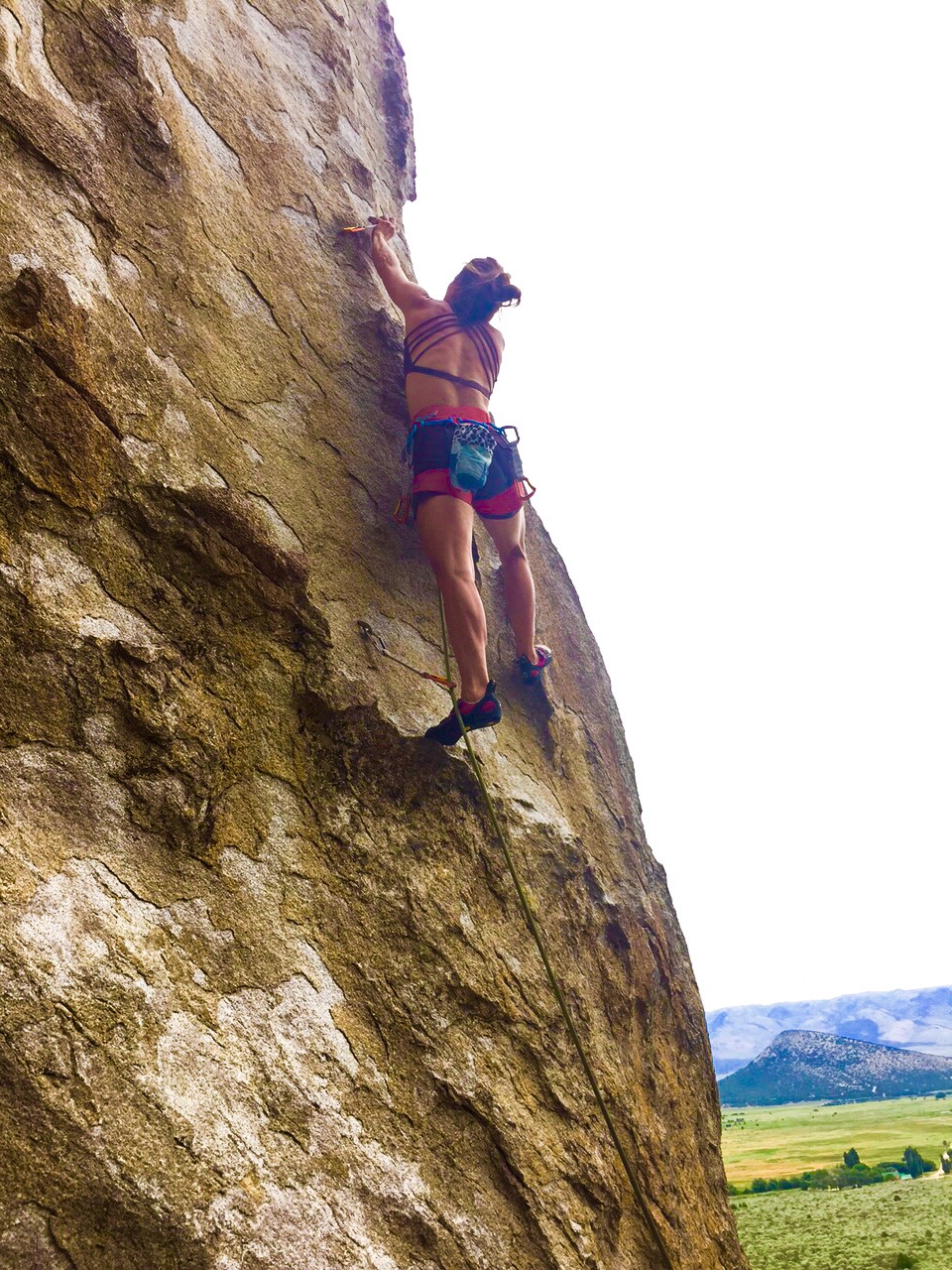 ProView - Edelweiss Scorpion Harness - The Link - Gear Reviews