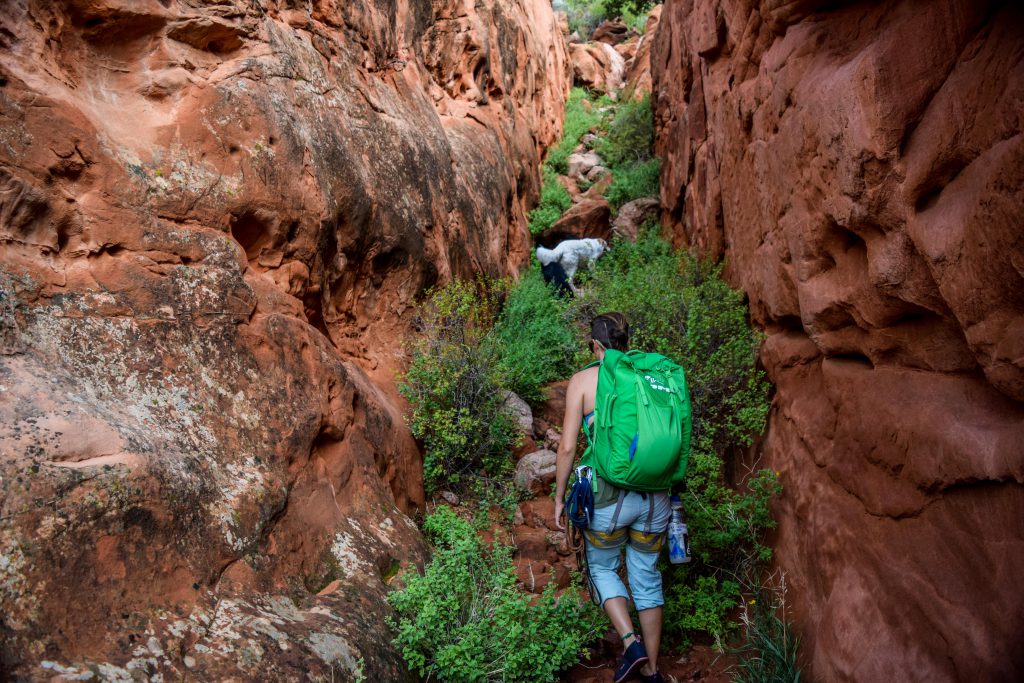 ProView- DMM Flight Pack Review- Dirtbag Dreams Gear Reviews