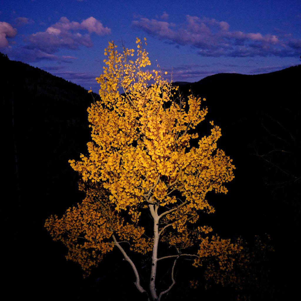 ProView - Petzl REACTIK + 300 Lumens Headlamp - The Link - Gear Reviews