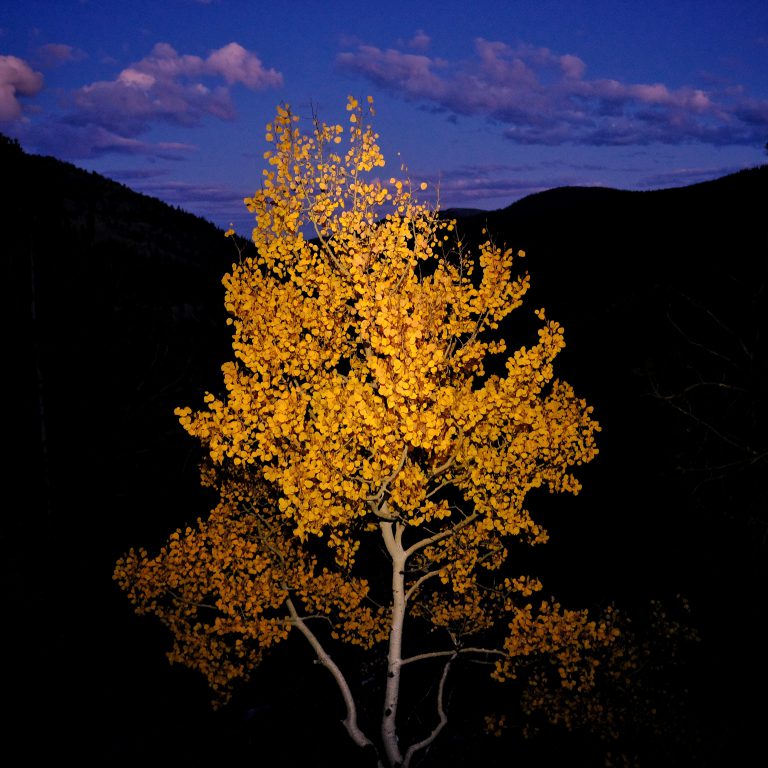 ProView - Petzl REACTIK + 300 Lumens Headlamp - The Link - Gear Reviews