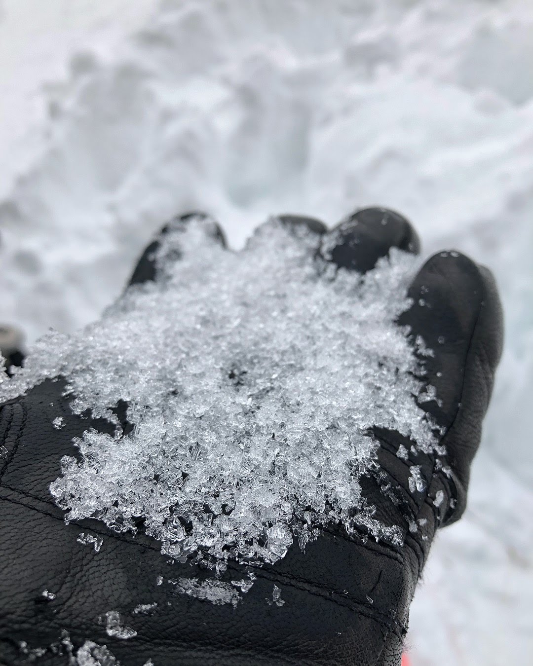 ProView - Backcountry Access Snow Study Kit - Dirtbag Dreams