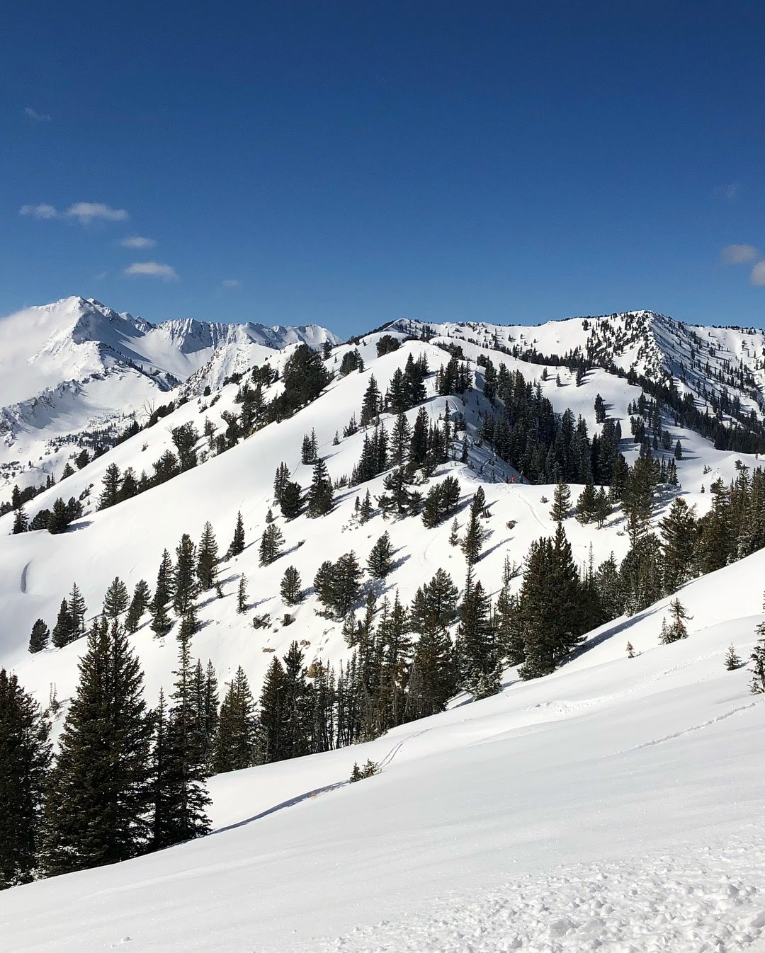 ProView - Backcountry Access Snow Study Kit - Dirtbag Dreams