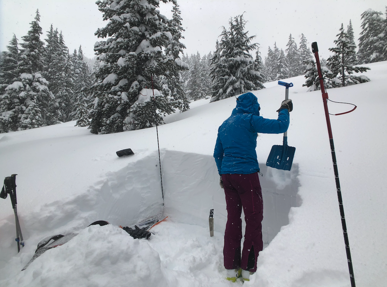 ProView - Backcountry Access Snow Study Kit - Dirtbag Dreams