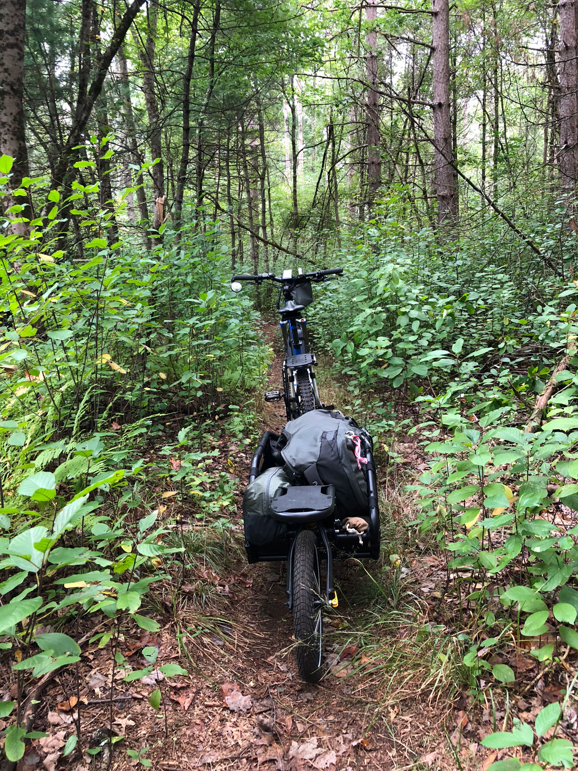 ProView - Burley Coho XC - The Link - Gear Reviews