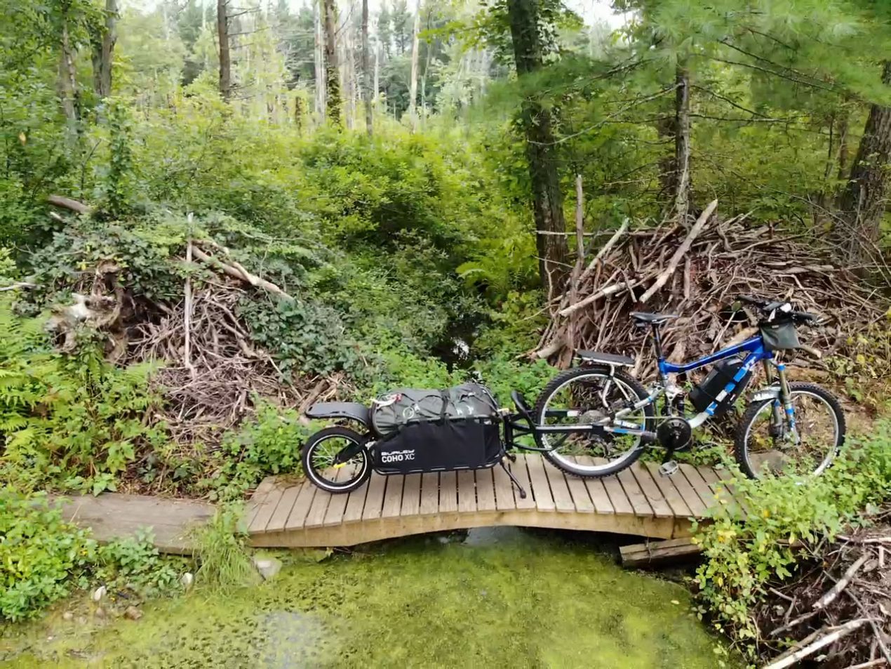 ProView - Burley Coho XC - The Link - Gear Reviews