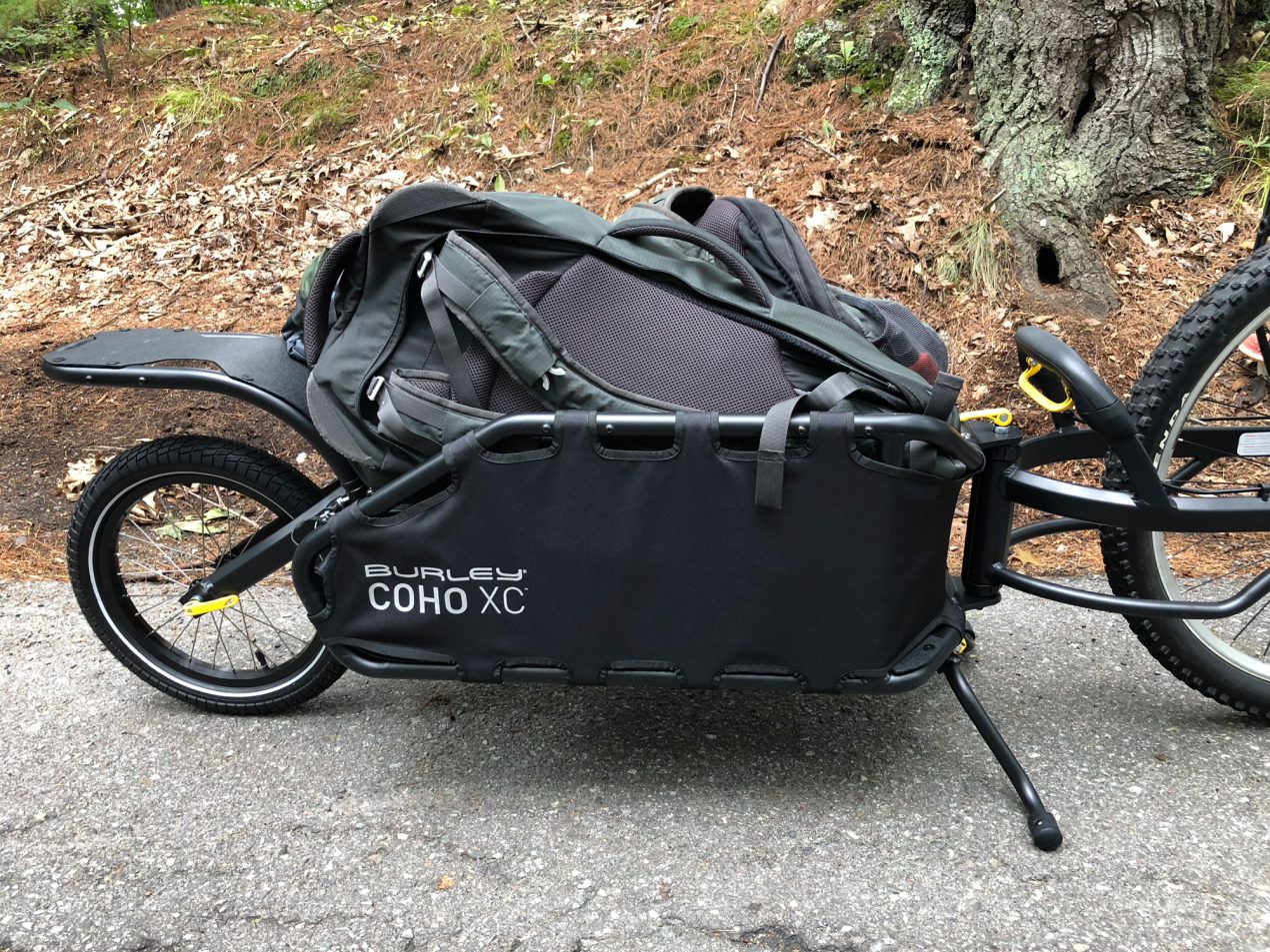 ProView - Burley Coho XC - The Link - Gear Reviews