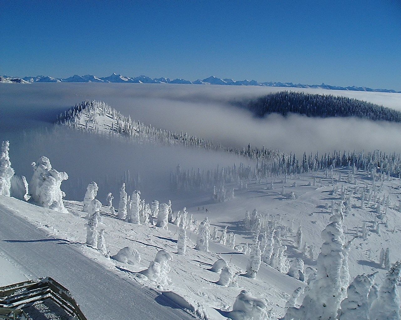 ProView - Native Eyewear DropZone Goggles - The Link - Gear Reviews