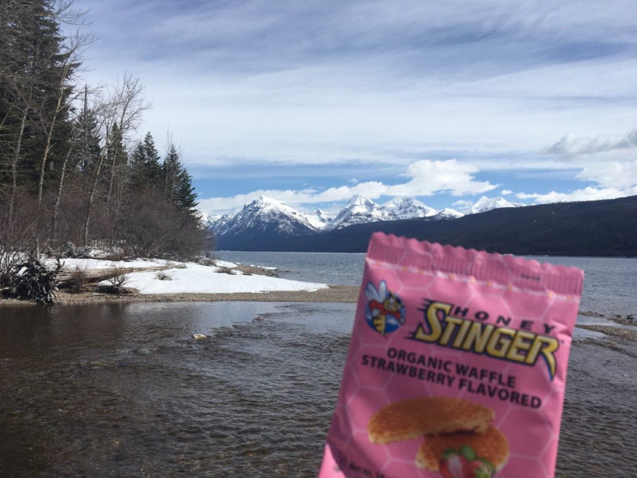 ProView - Honey Stinger Snacks - The Link - Gear Reviews