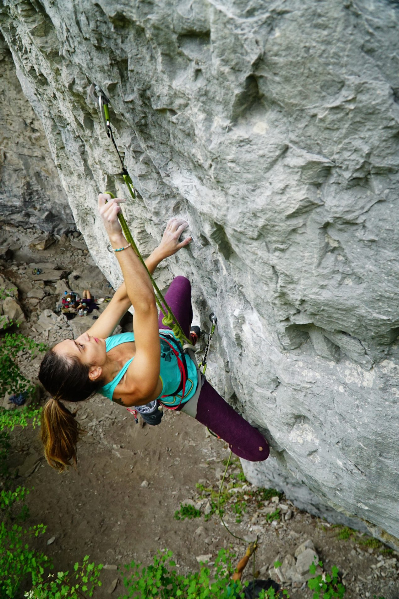 ProView - Edelrid Bulletproof Quickdraw Set - The Link - Gear Reviews