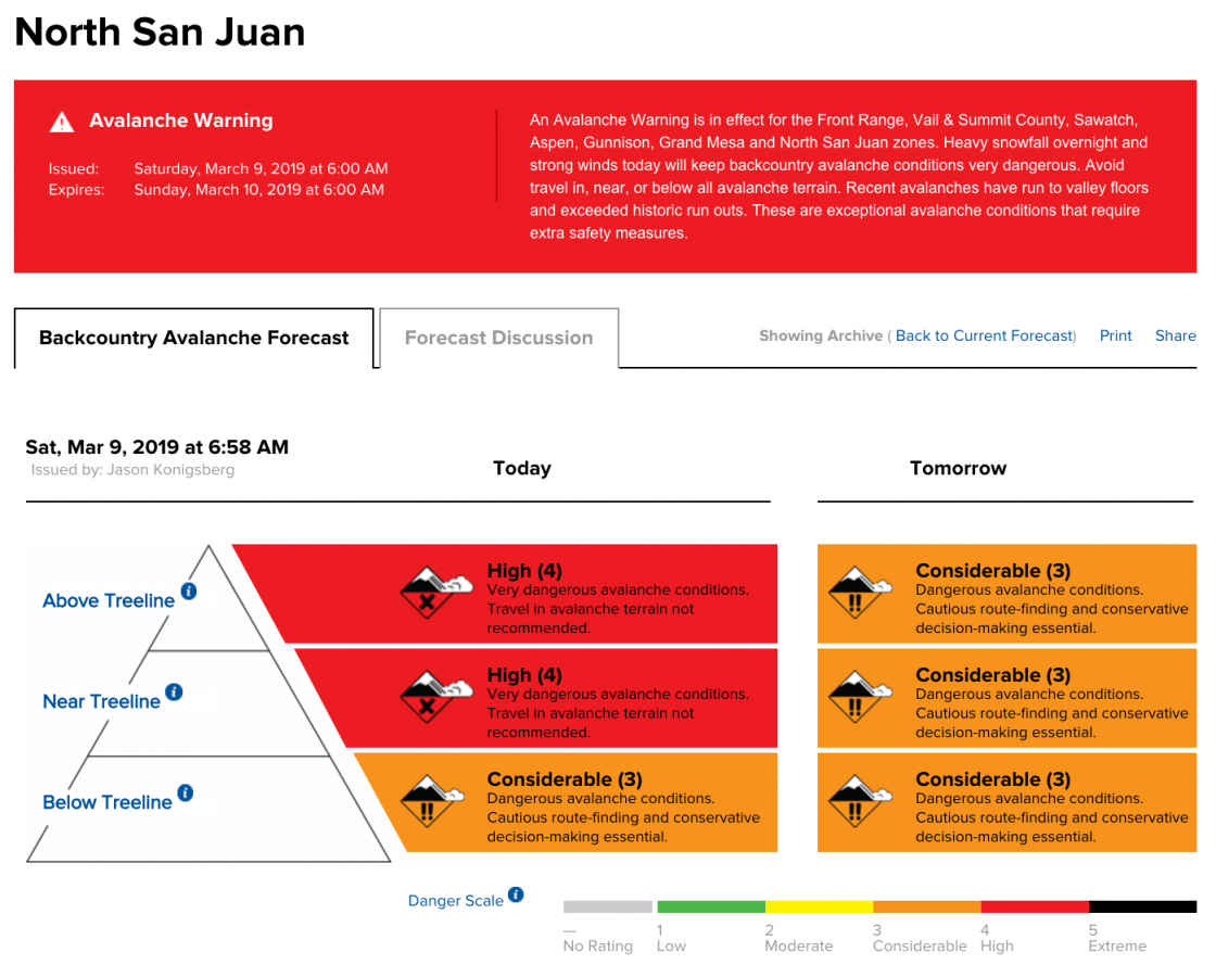ProView - Backcountry Access Scepter Carbon Poles - The Link - Gear Reviews