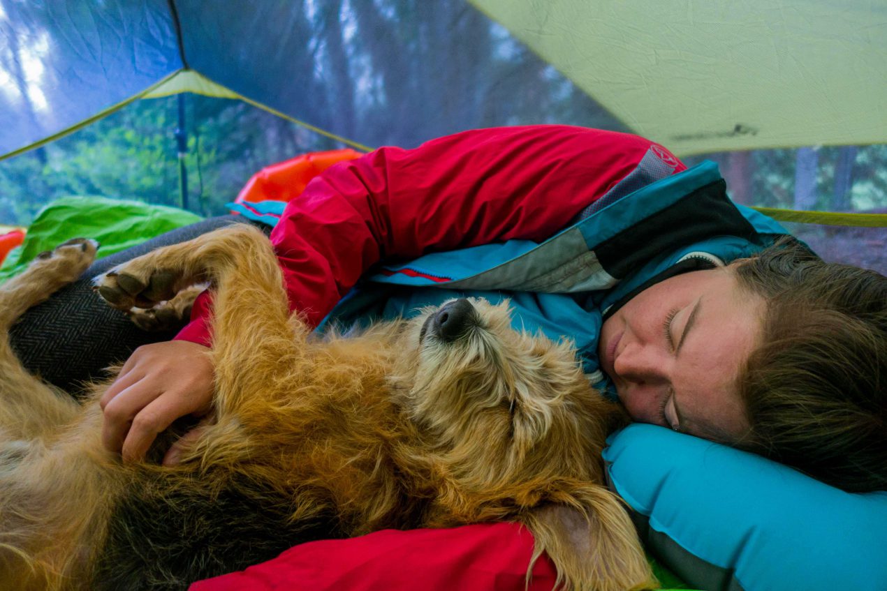 An Ode to the Adventure Dog - The Link - Gear Reviews