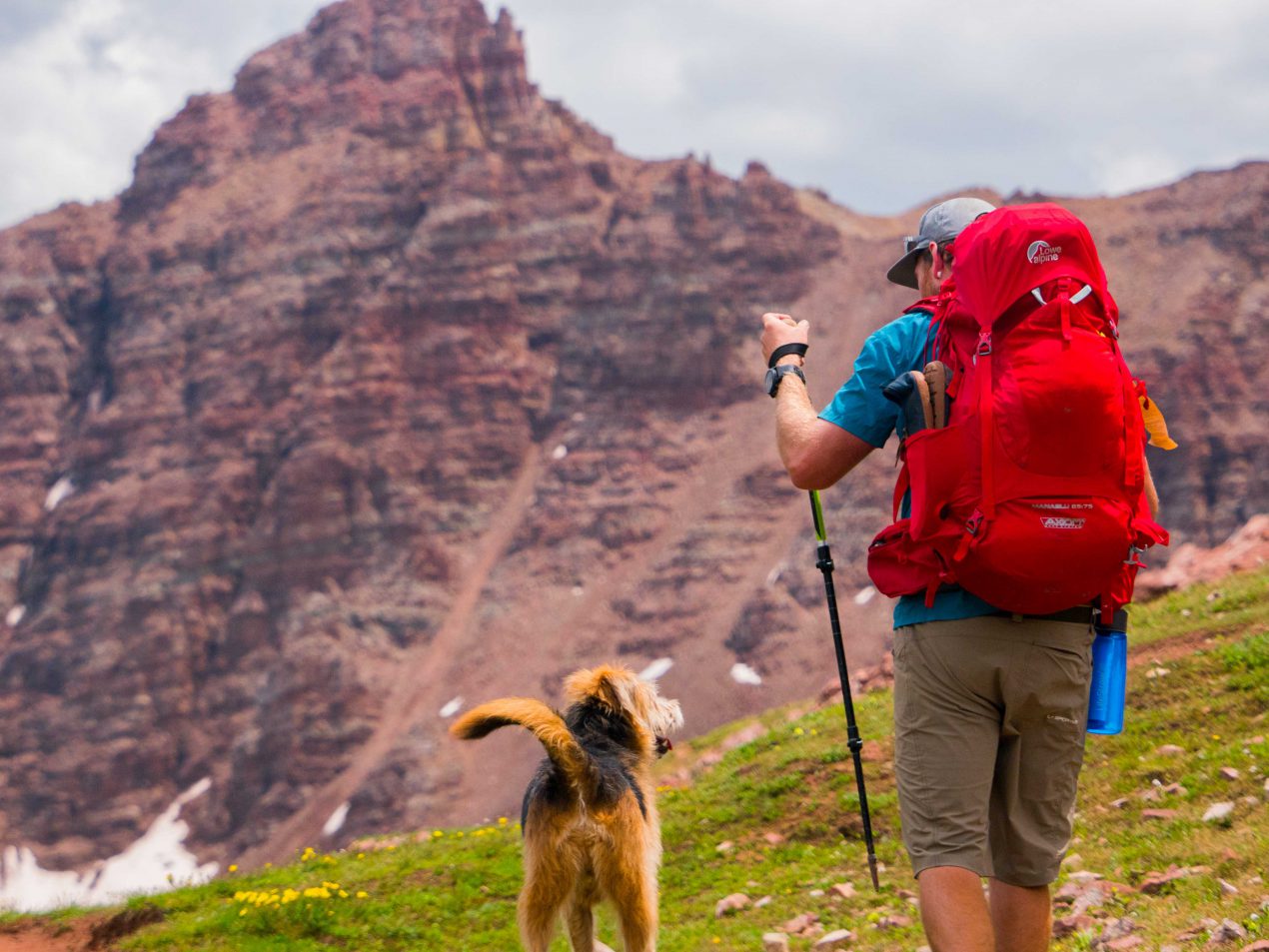 An Ode to the Adventure Dog - The Link - Gear Reviews