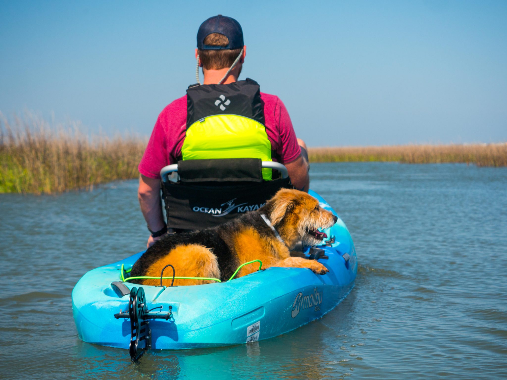 An Ode to the Adventure Dog - The Link - Gear Reviews