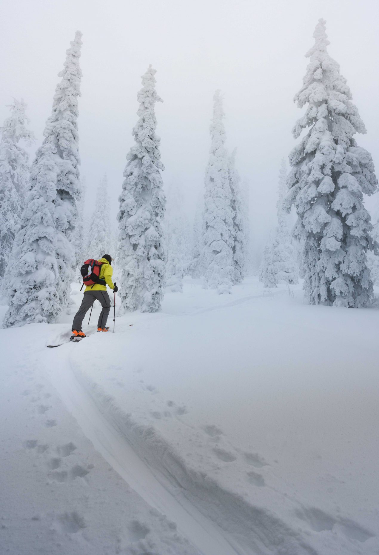 ProView - Outdoor Research Men's MicroGravity AscentShell Jacket - The ...