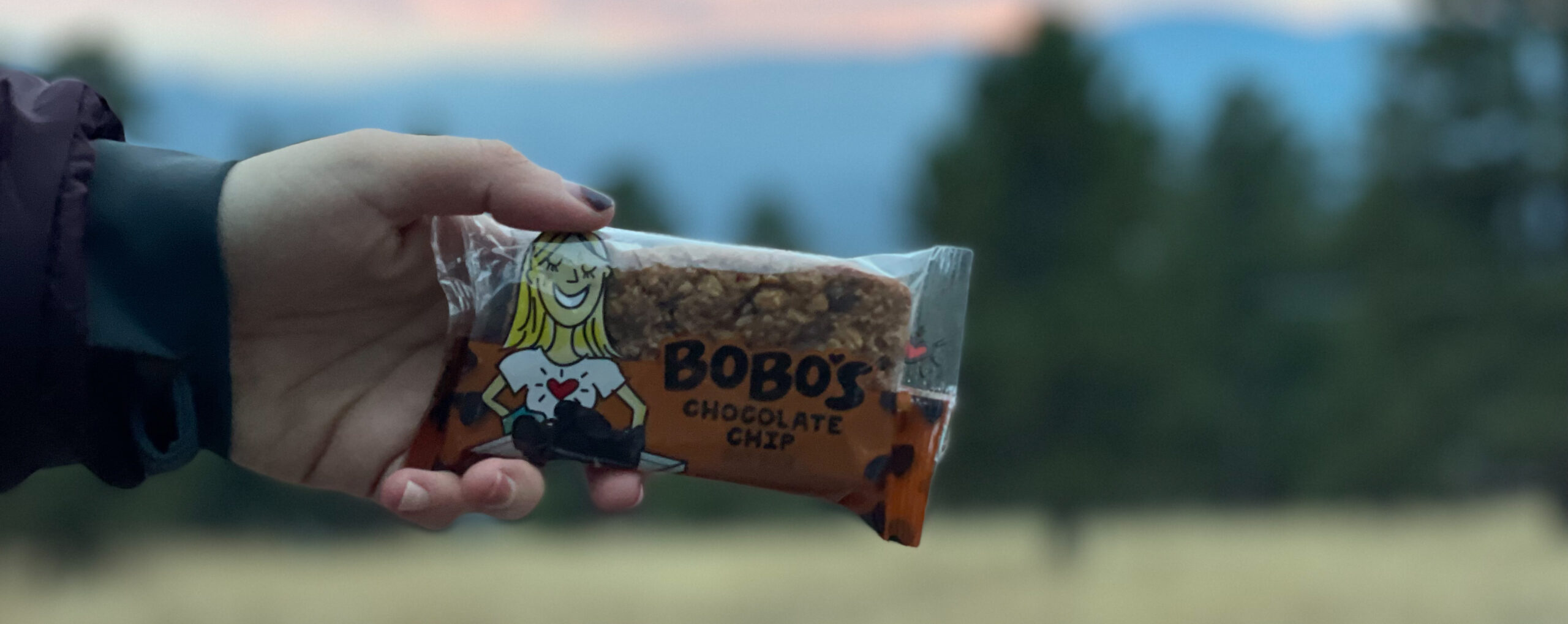 ProView - Bobo’s Oat Bar Chocolate Chip - The Link - Gear Reviews