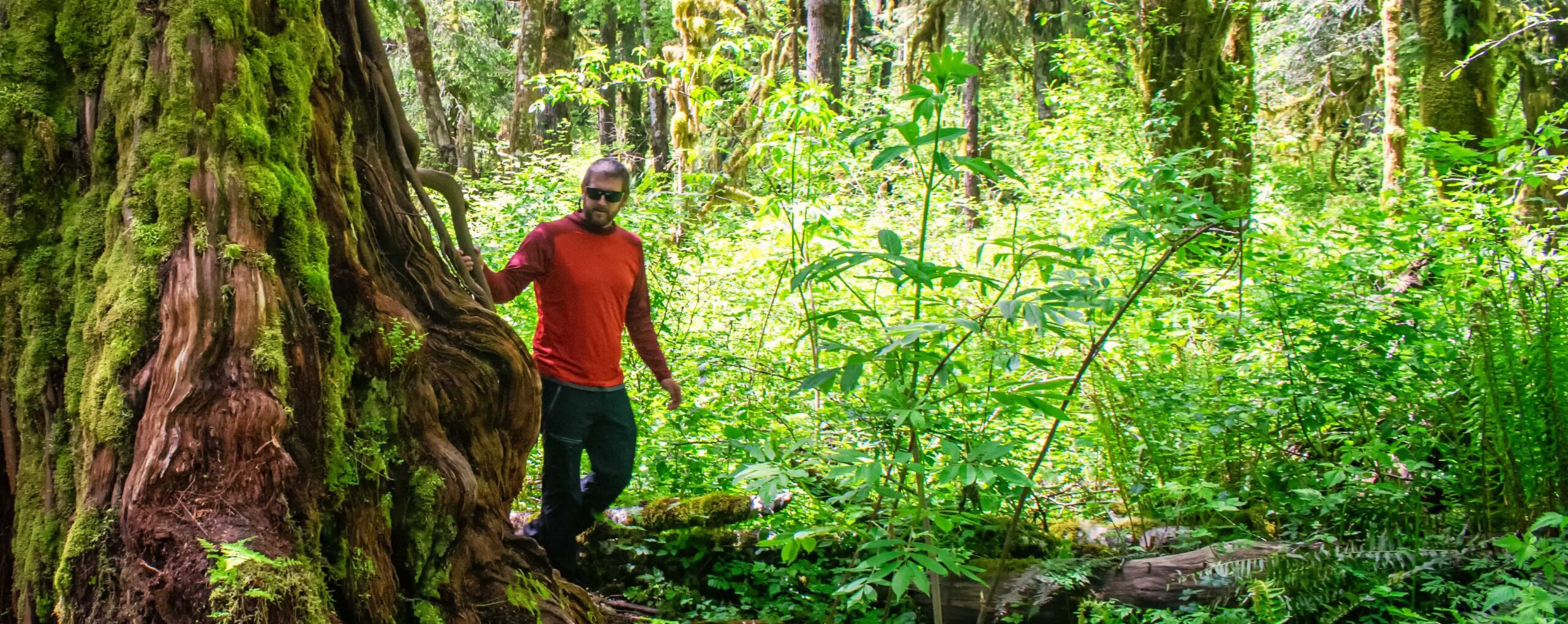 ProView - Rab Force Hoody - The Link - Gear Reviews