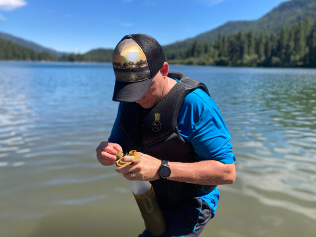 ProView - GRAYL UltraPress Water Filter & Purifier Bottle - The Link ...