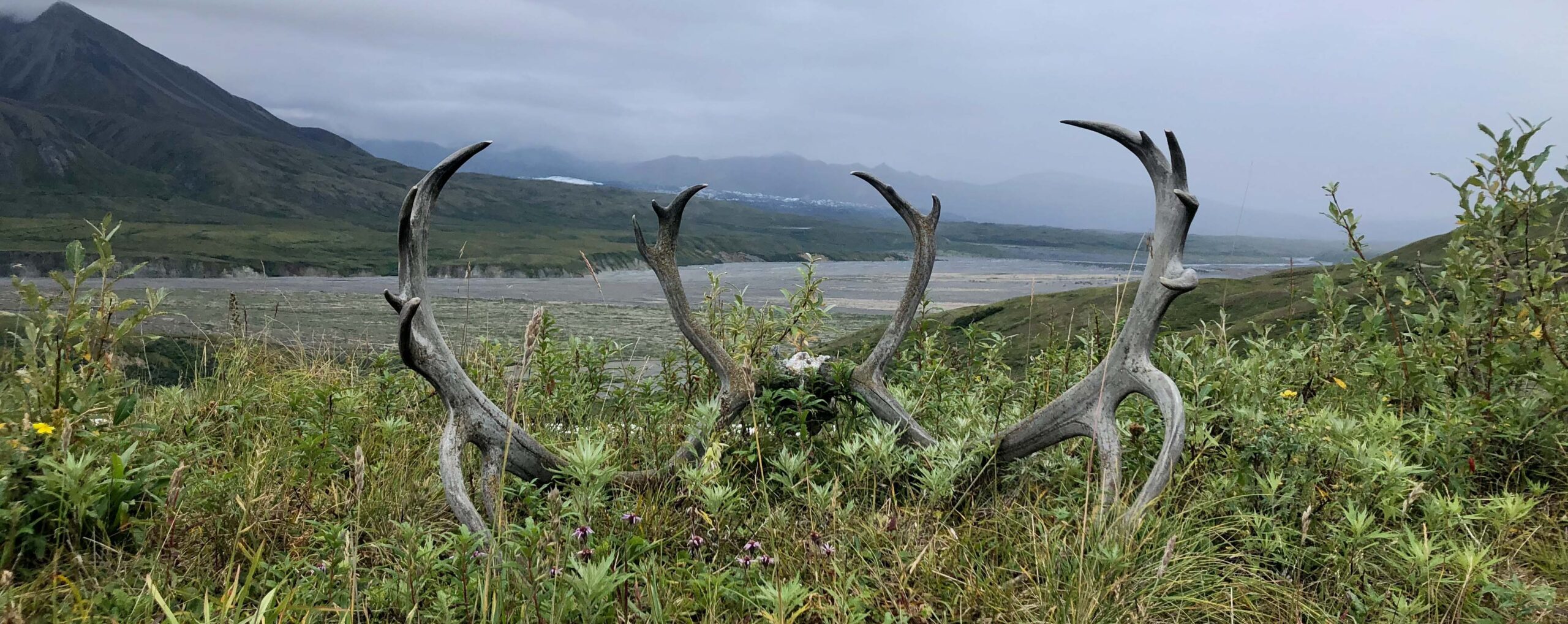 How Hunting Can Add to Your Outdoor Experience and Where to Begin - The ...