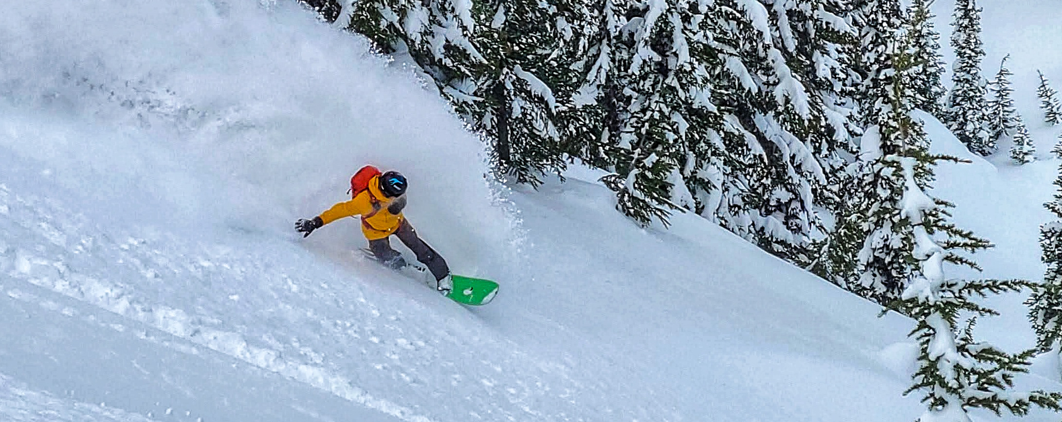 ProView - Kemper Apex Review - The Link - Gear Reviews