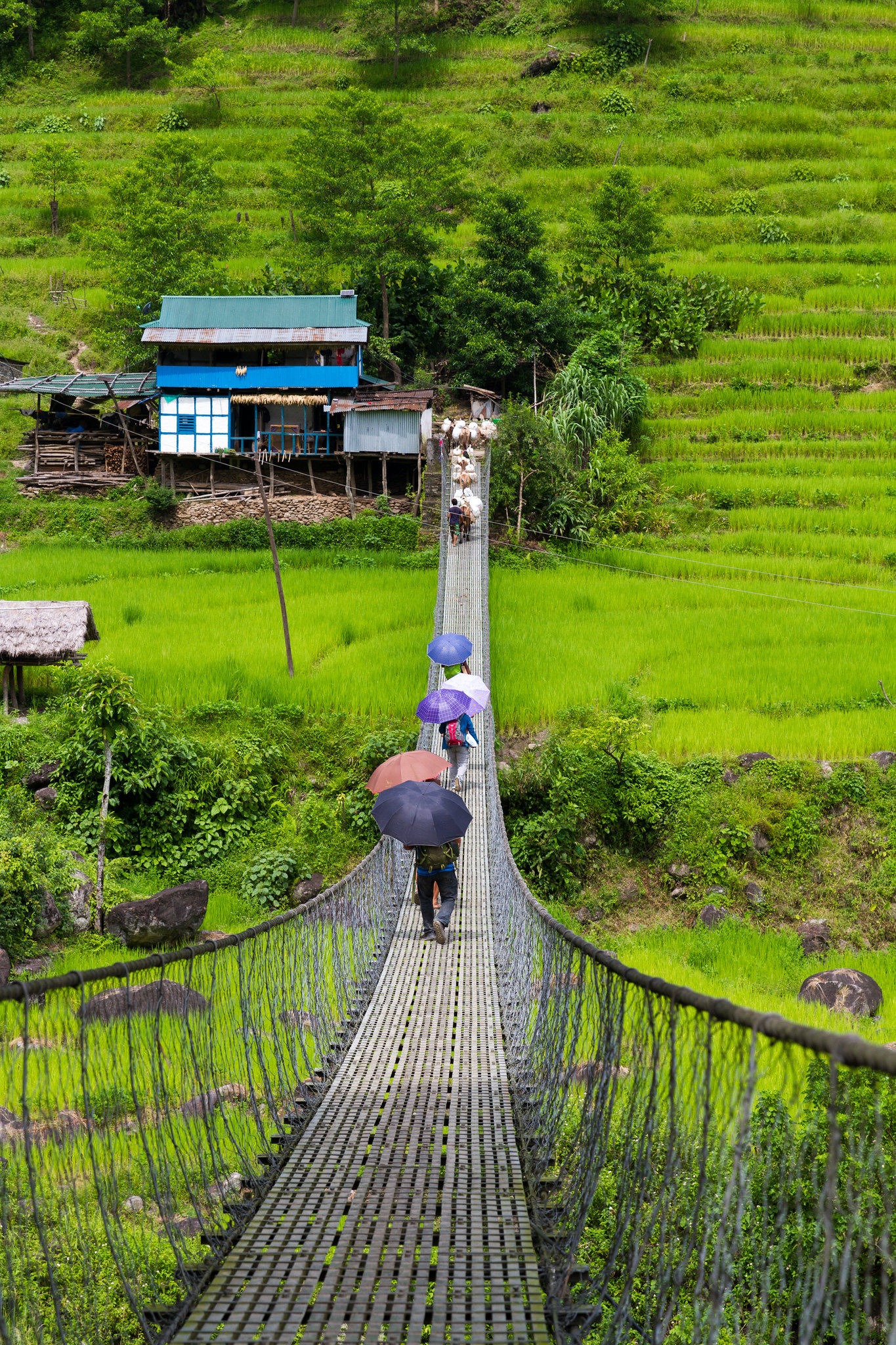 Nonprofit Spotlight: dZi Foundation - The Link - Gear Reviews