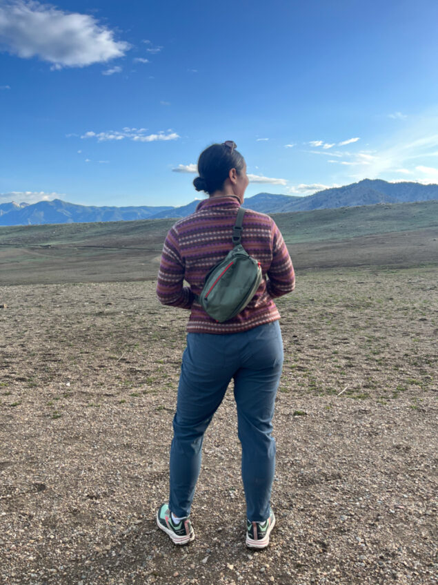 ProView - Gregory Nano Shoulder Bag Review - The Link - Gear Reviews