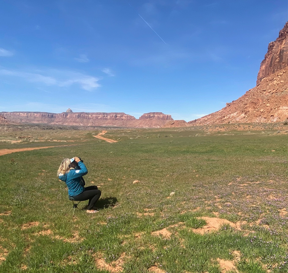 ProView - Grand Trunk Compass 360 Stool Review - The Link - Gear Reviews