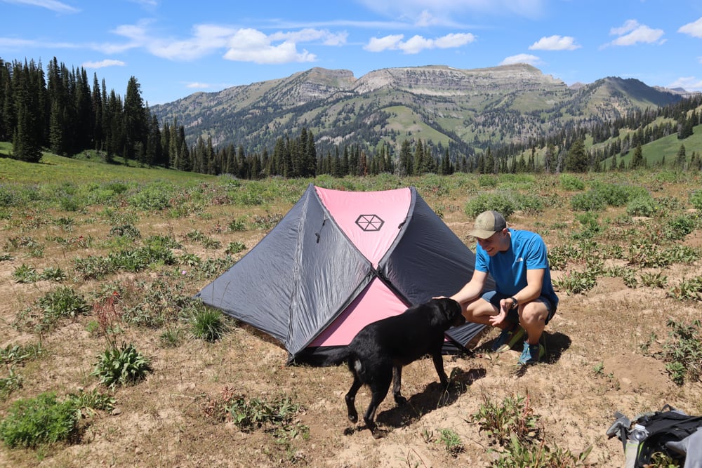 ProView - Samaya INSPIRE2 Review - The Link - Gear Reviews