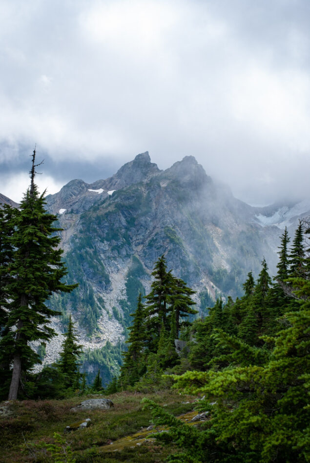 What is Dew? And Why Should I Pay Attention to It? - The Link - Gear ...