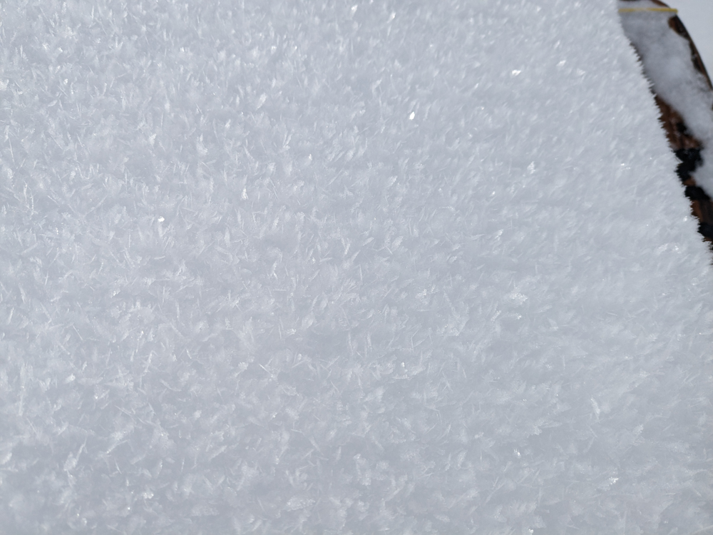 What is Dew? And Why Should I Pay Attention to It? - The Link - Gear ...