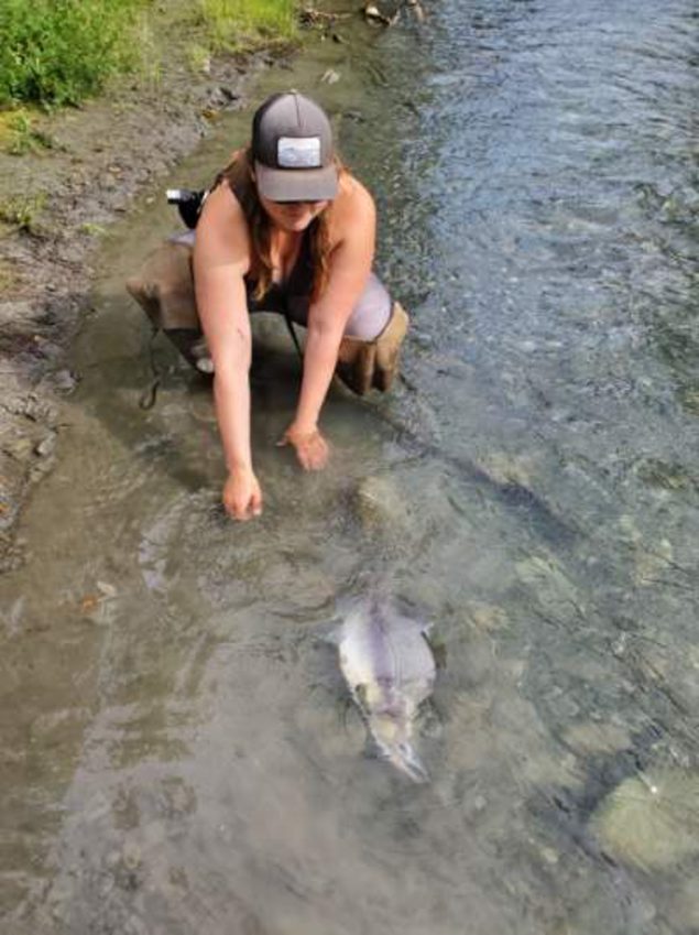 Best Practices for Catch and Release Fishing - The Link - Gear Reviews