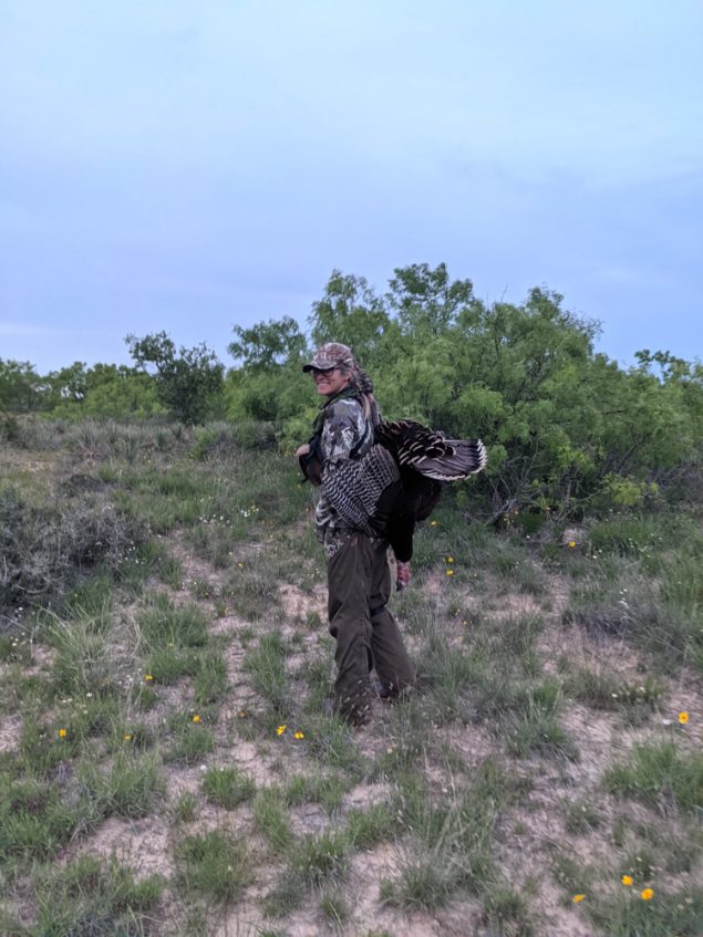 Turkey Hunting 101: Navigating the Spring Turkey Season - The Link ...