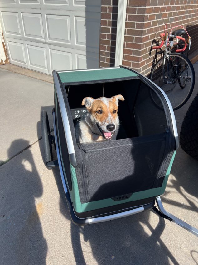 ProView - Thule Bexey Dog Trailer Review - The Link - Gear Reviews