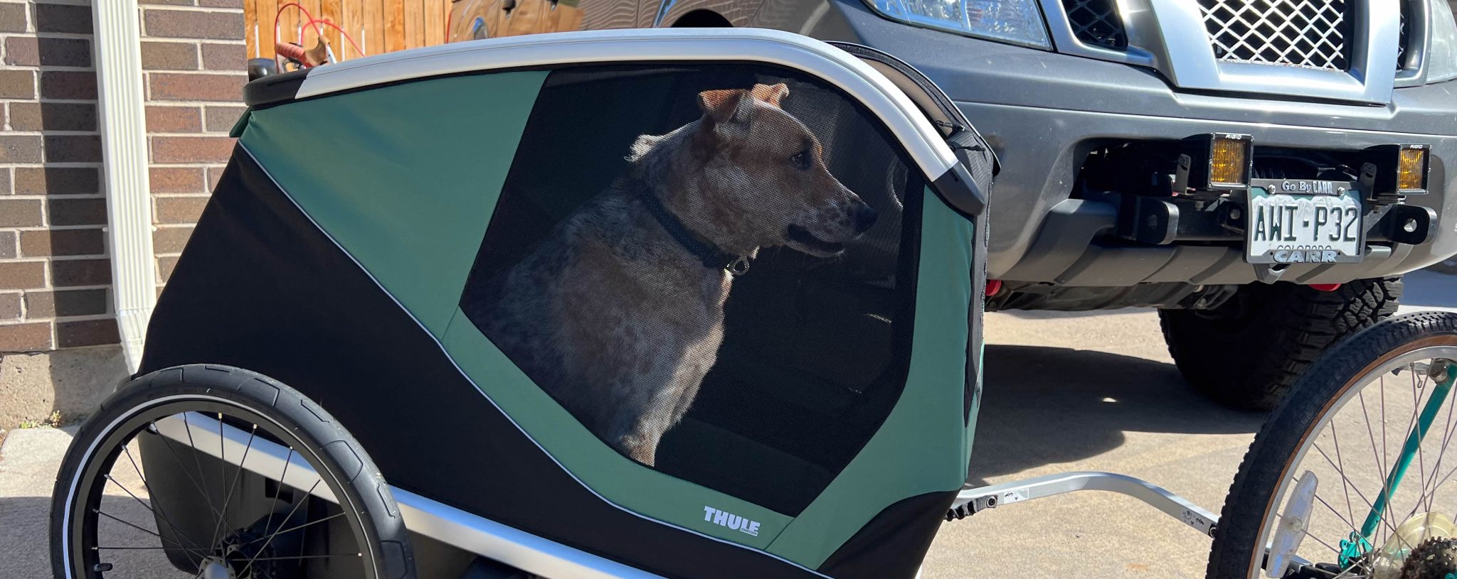 ProView - Thule Bexey Dog Trailer Review - The Link - Gear Reviews