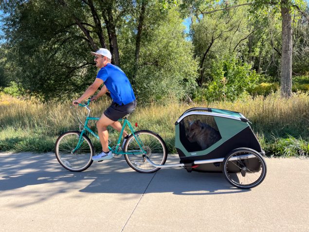 ProView - Thule Bexey Dog Trailer Review - The Link - Gear Reviews