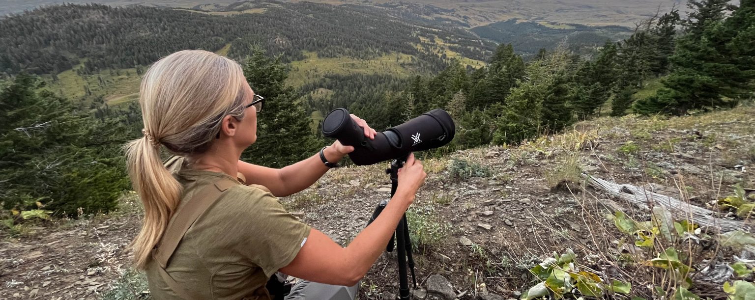 Summer Planning for a Successful Hunting Season - The Link - Gear Reviews