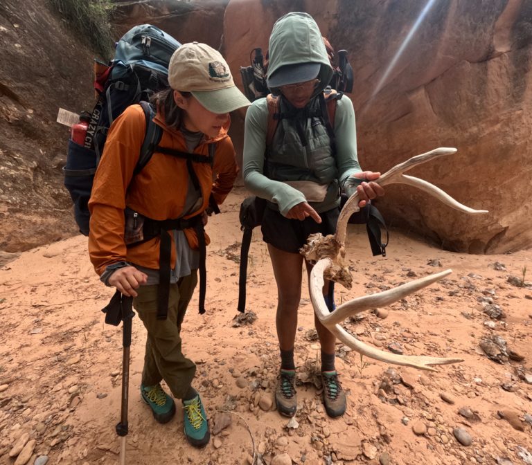 So You Want To Be A NOLS Instructor? (Written by a NOLS instructor ...