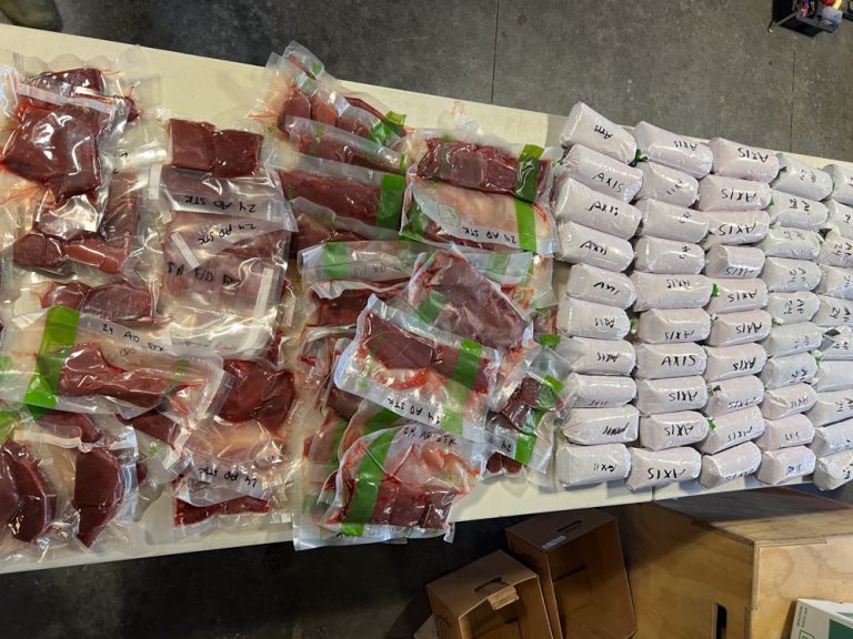Stuck in a Rut? Creative Game Meat Recipes - The Link - Gear Reviews